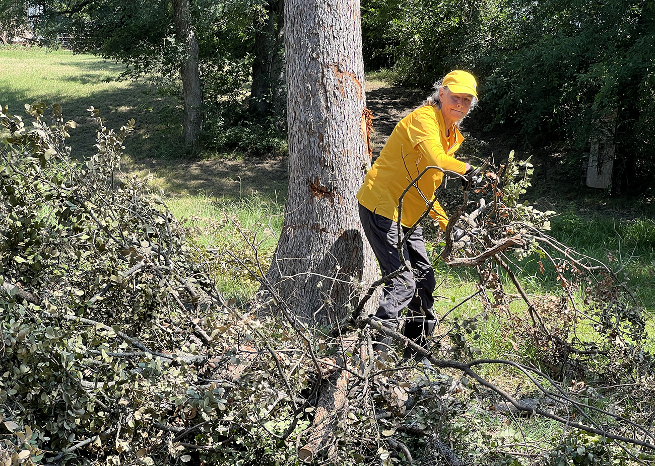Nancy Ellard kicks into higher gear in retirement